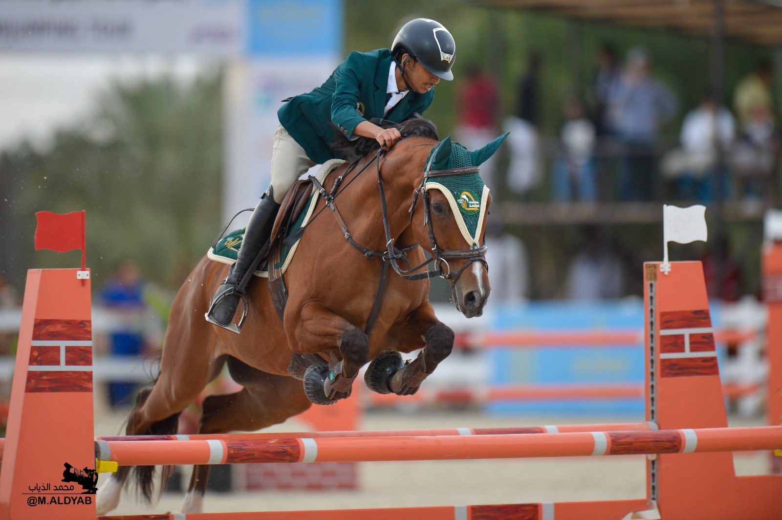 The Europeans control the grand prize in the International Show Jumping ...